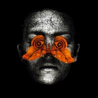 GALERIA CHROMA | GABRIEL WICKBOLD | Naive | Fotografia Contemporânea ...