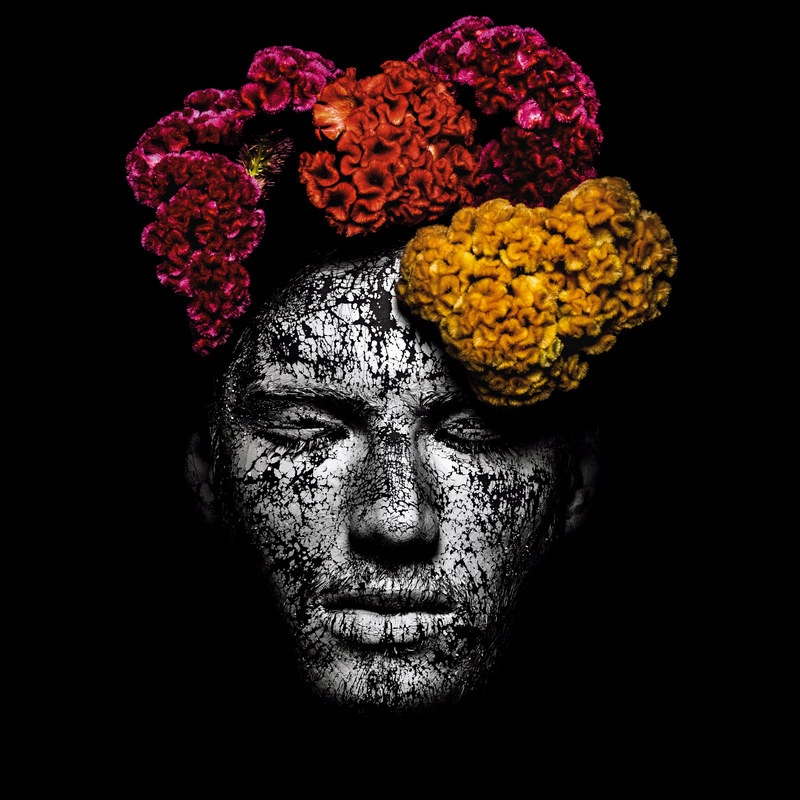 GALERIA CHROMA | GABRIEL WICKBOLD | Naive | Fotografia Contemporânea ...